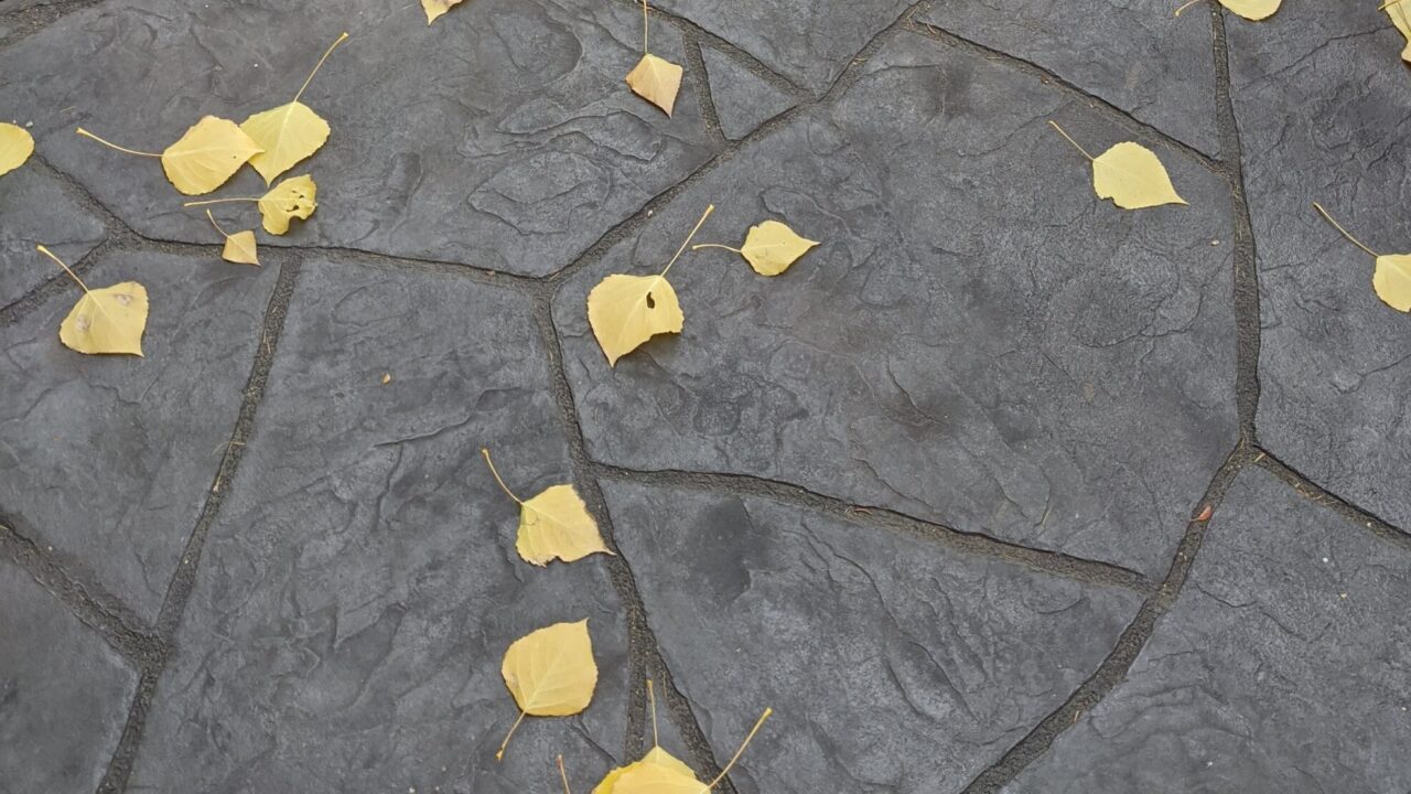 Concrete Finishes for Every Space in Calgary, AB